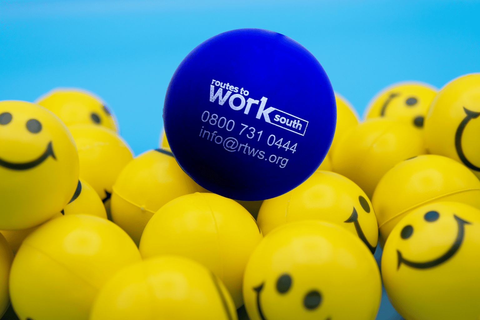 Employability Services - Routes To Work South Lanarkshire